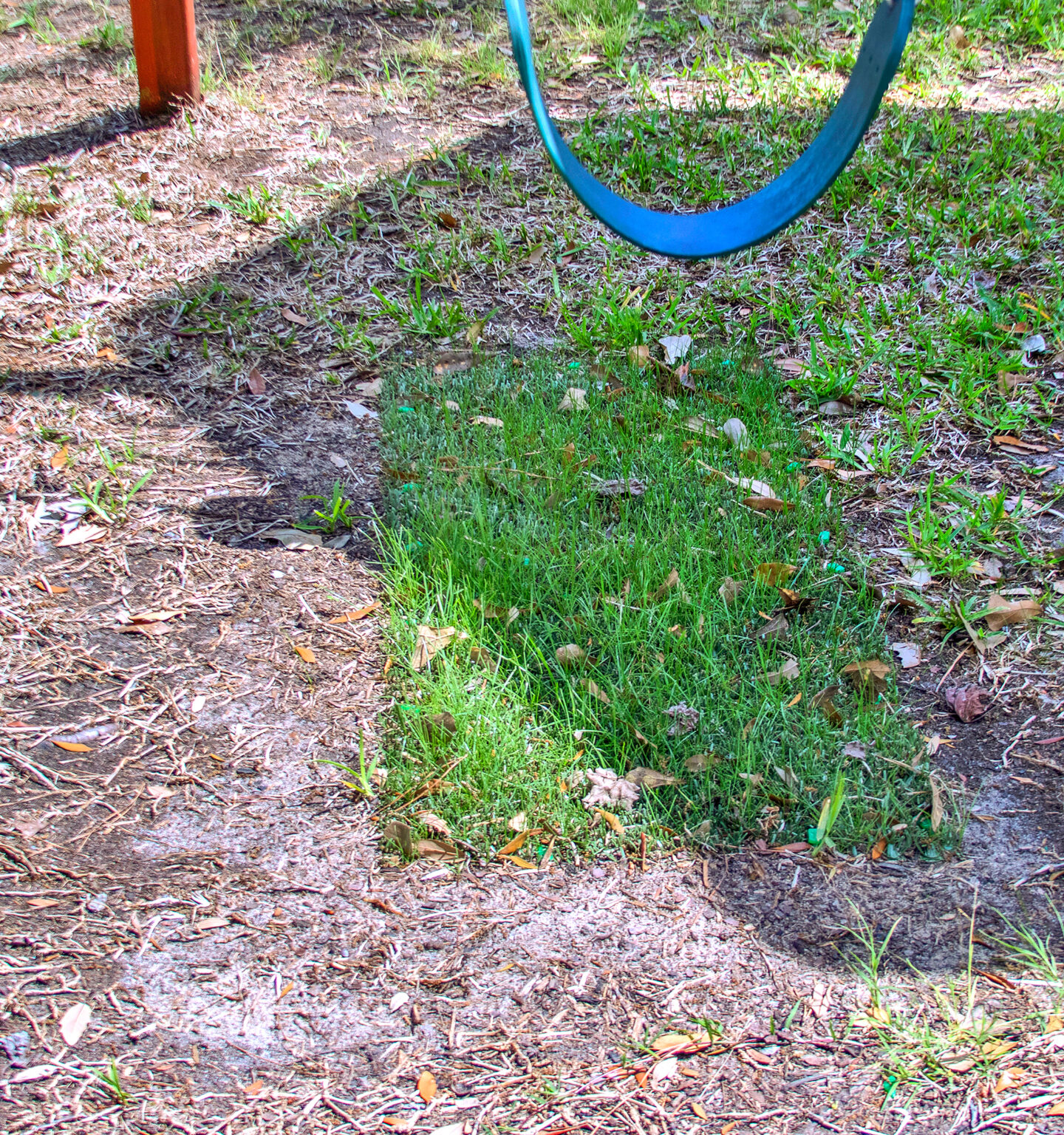 You seed - DuraGrass